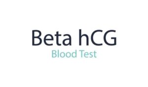 Pregnancy Beta hCG Blood Test - Bonding Before Birth